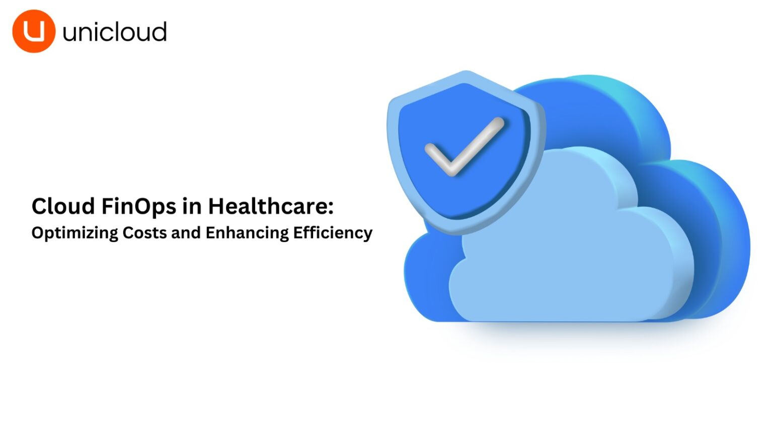 Cloud FinOps in Healthcare: Optimizing Costs and Enhancing Efficiency ...